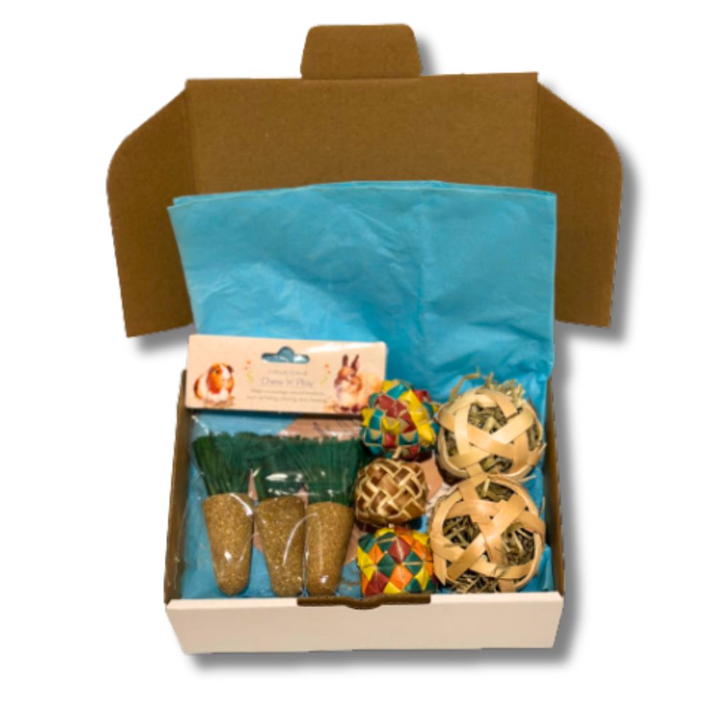 Rabbit Toy Bundles: Fun & Stimulation for Your Bunny - Rabbits Down Under