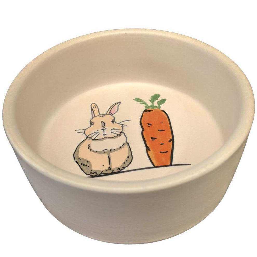 Frost Rabbit and Carrot Ceramic Bowl – Rabbits Down Under