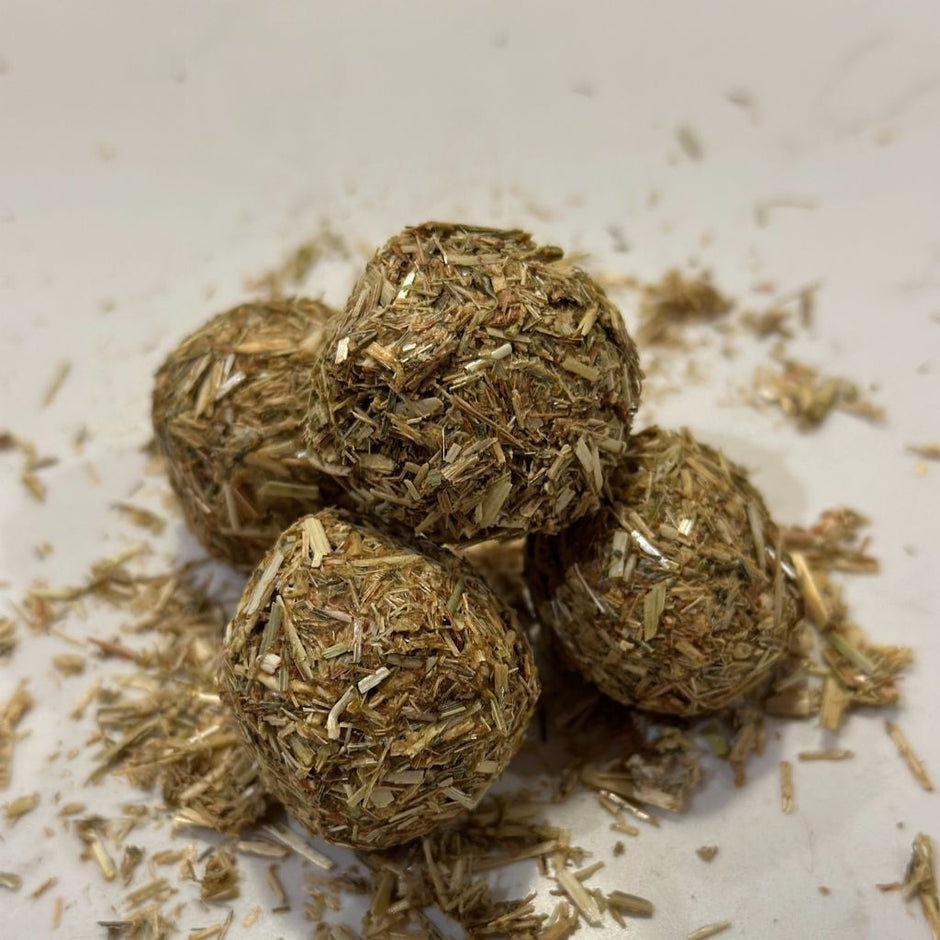 Top-Rated Rabbit Toys Australia: Boredom Busters & Enrichment Fun ...