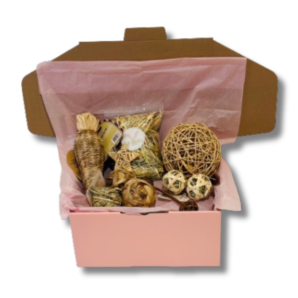 🎁 Hoppy Days Bundle Saver Rabbit Toys Pack – Rabbits Down Under