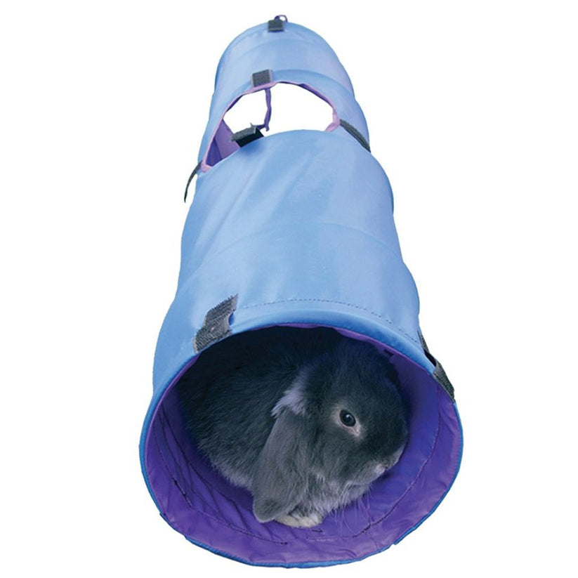 Rabbit Tunnel – Rabbits Down Under