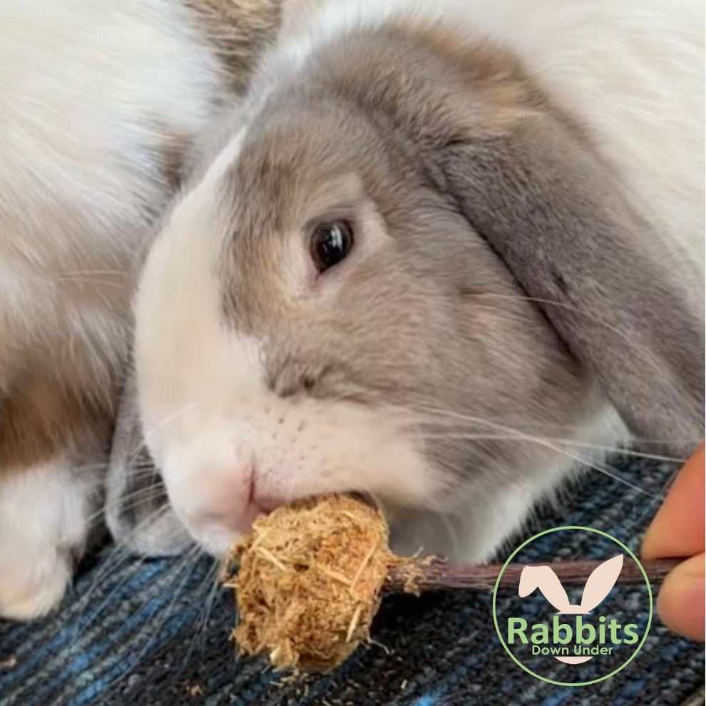 Bunny Cake Pops – Rabbits Down Under