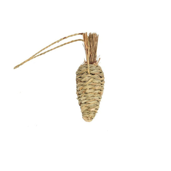 Seagrass Carrot Chew Toy - Rabbits Down Under