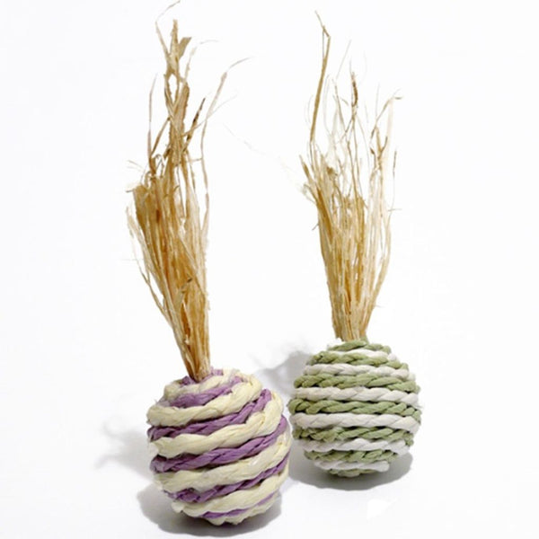 Wacky Rollers - Rabbits Down Under